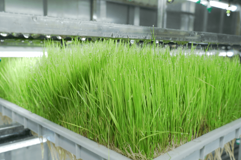 Blog - 上海德环实业有限公司（4）（2024）