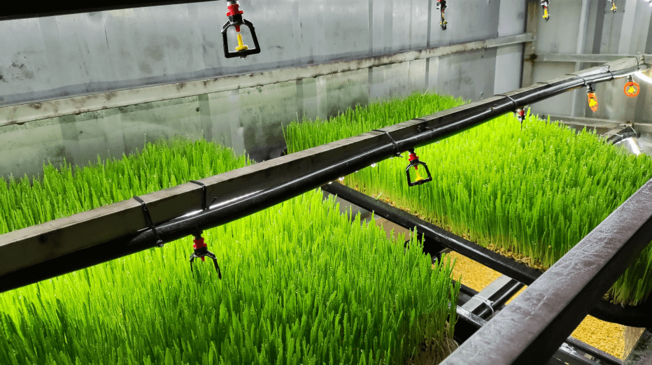 Blog - 上海德环实业有限公司（4）（2024）