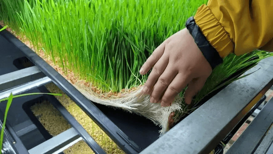 Blog - 上海德环实业有限公司（4）（2024）